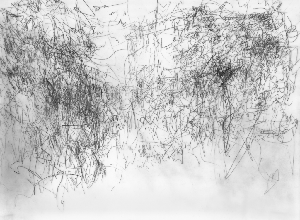 NAHO TARUISHI — Blind / Diagrammatic Drawings